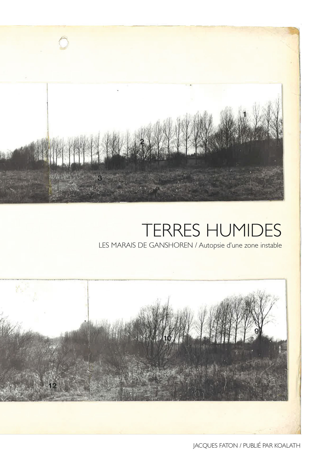 Terres Humides - Les Marais de Ganshoren / Autopsie d'une zone instable ...